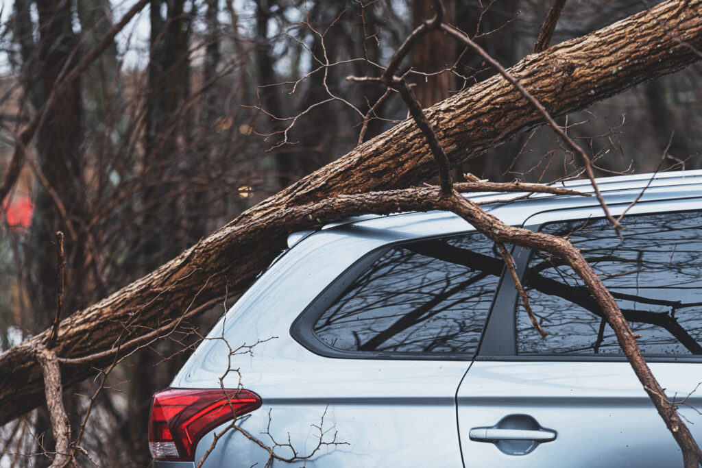 Direct repair program | Auto repair network | Sedgwick