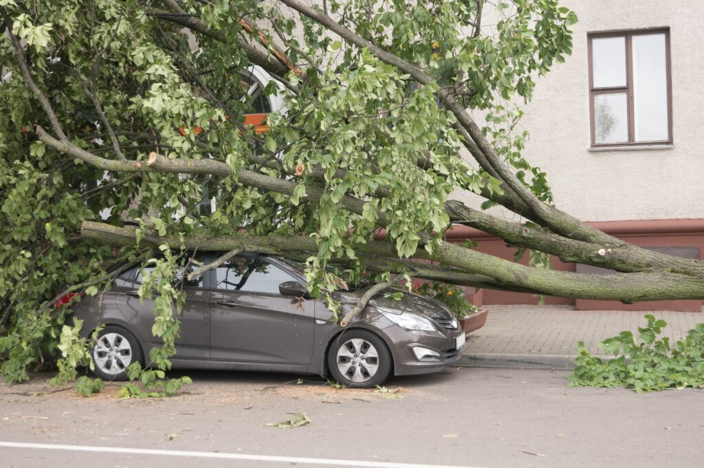 Auto damage photo inspections | Auto claims | Sedgwick